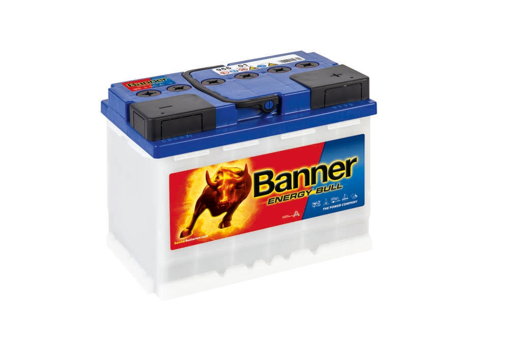 12V 60AH Banner Leisure Battery 95501 – Serlex.ie